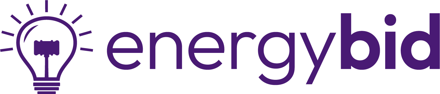 Fleximize - Energybid